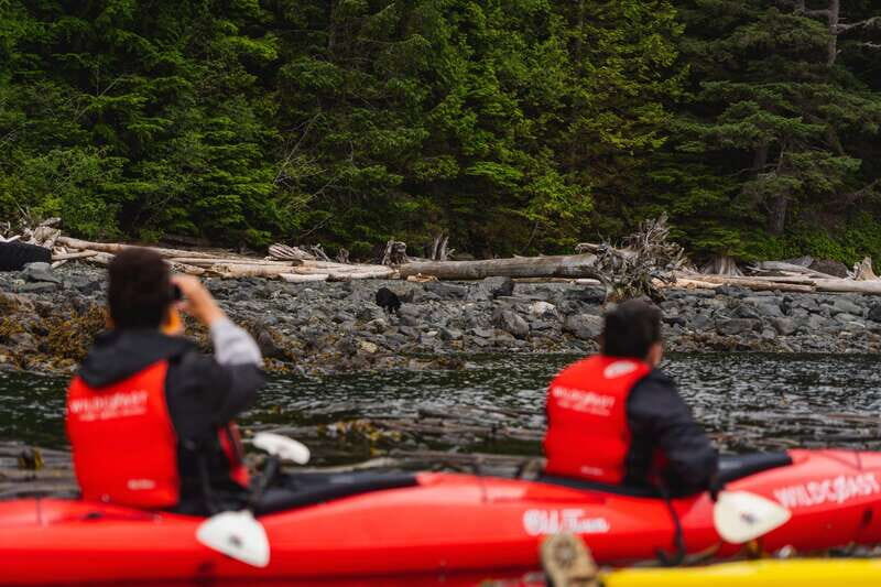 Campbell River: Kayaking and Whale Watching Tour - An In-Depth Look at the Experience