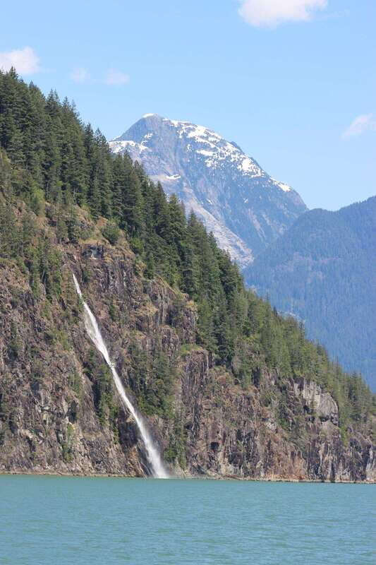 Campbell River: Spring Bear Watching & Waterfalls Boat Tour - FAQ