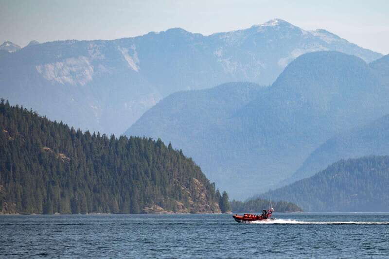 Campbell River: Whale & Wildlife Discovery Cruise - The Value of the Experience