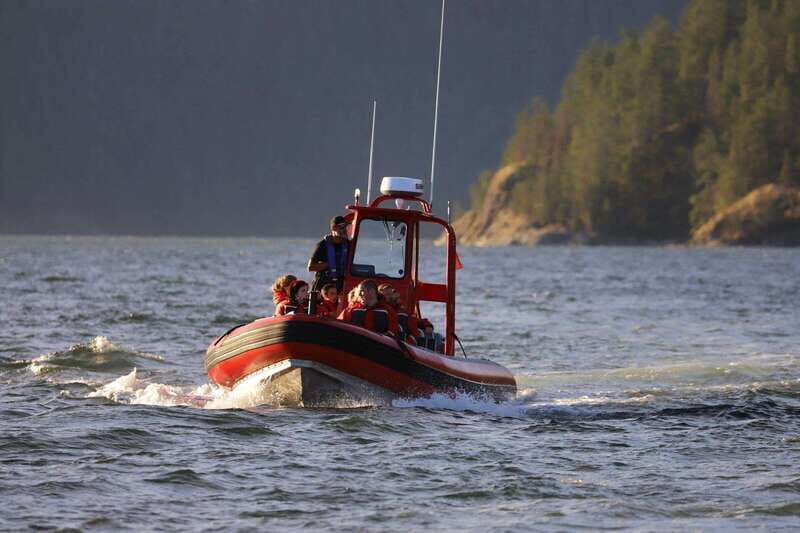 Campbell River: Whale & Wildlife Discovery Cruise - Final thoughts: This is a tour that captures the essence of BC’s wild coast—beautiful, unpredictable, and full of life. Whether youre a seasoned naturalist or a first-timer, you’ll come away with stories to tell and a deeper appreciation for the region’s marine ecosystem.