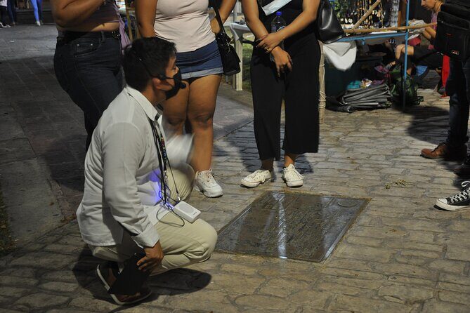 Campeche: Highlights, Museums and Downtown Tour - An engaging overview of Campeche