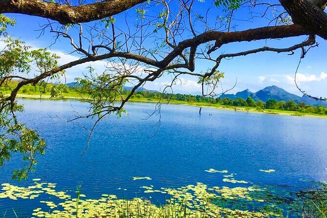 Camping in Habarana - Final Thoughts: Who Will Love This?
