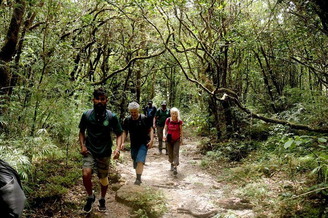 Camping in Knuckles Peak Trail (Private 1-Night) - What’s Included and What to Consider