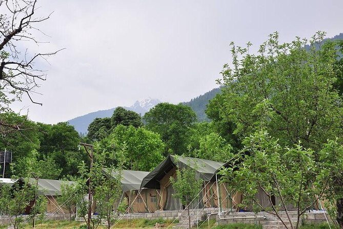 Camping in Manali, Himachal Pradesh - Key Points