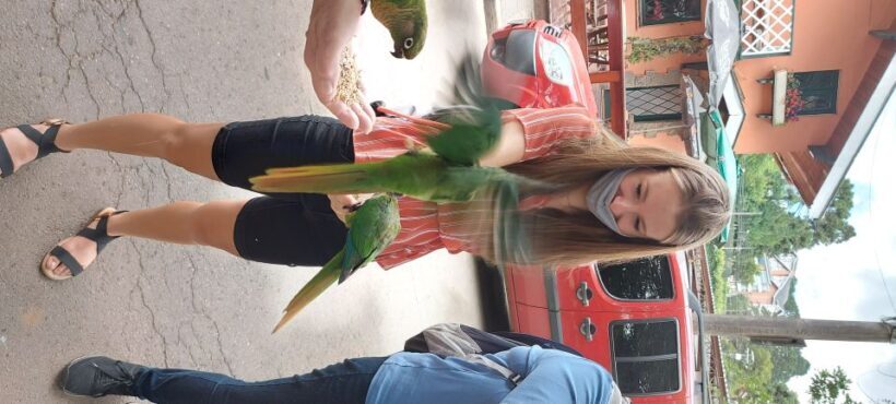 Campos do Jordão The Brazilian Switzerland,Full Day Trip - Authentic Experiences and Honest Insights