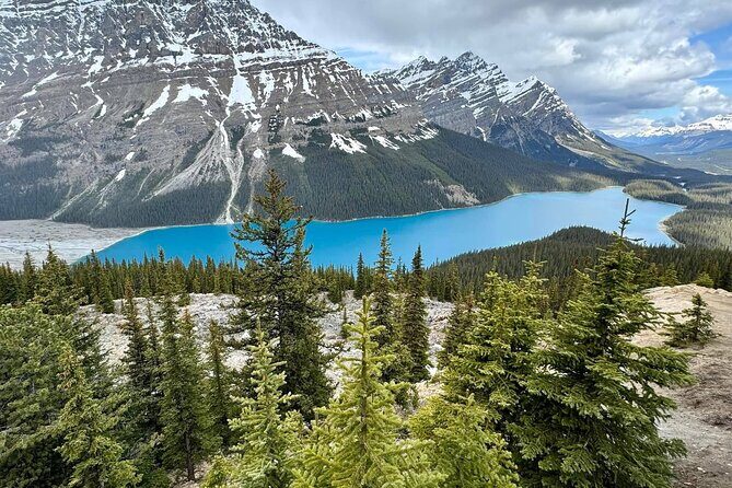 Can/Banff :Columbia Icefield, Crowfoot Glacier and Bow Lake, Tour - A Detailed Look at the Tour Experience