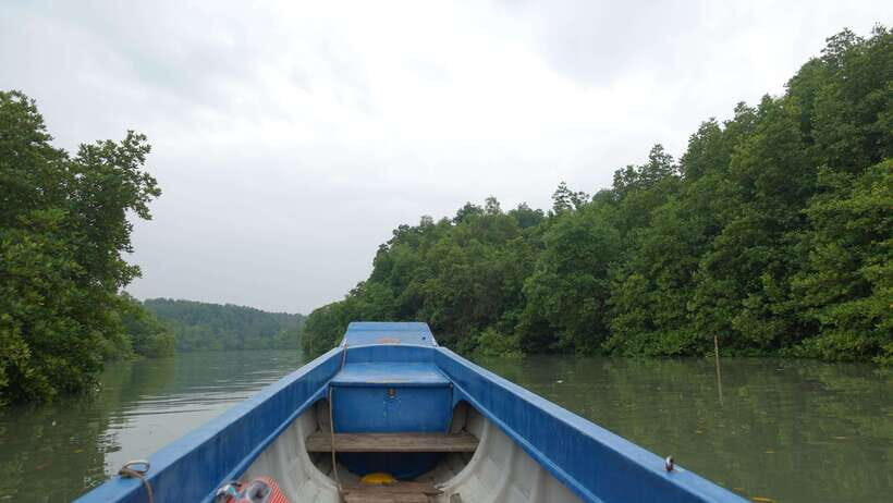 Can Gio Day Tour: Monkeys, Crocodiles, Canoe & Seafood Lunch - A Detailed Look at the Tour Experience