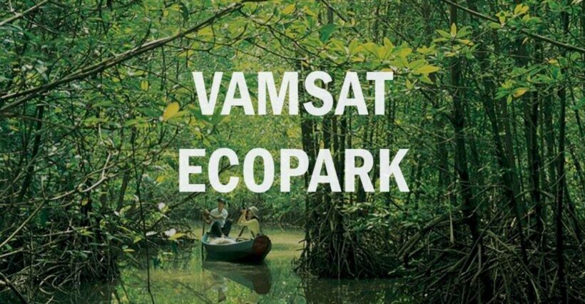 Can Gio: Discovery Vam Sat EcoPark - Can Gio Island Day Trip - Key Points