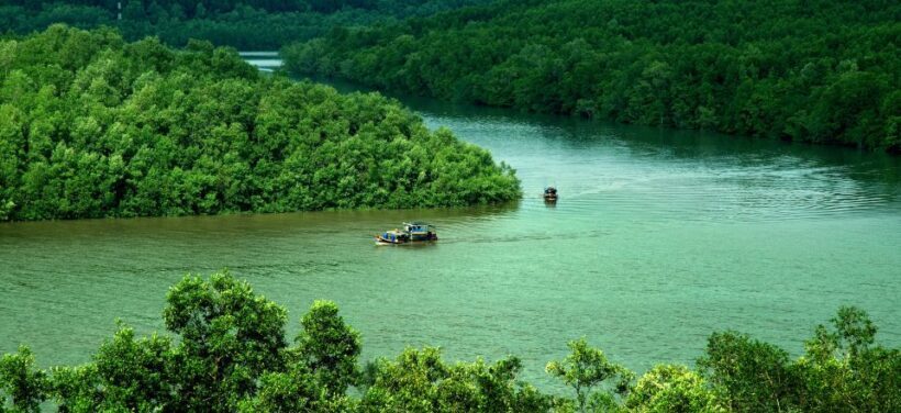 Can Gio: Discovery Vam Sat EcoPark - Can Gio Island Day Trip - A Detailed Look at the Tour Experience