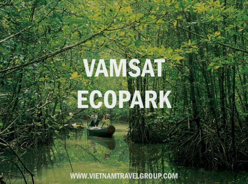 Can Gio: Discovery Vam Sat EcoPark - Can Gio Island Day Trip - Who Should Consider This Tour?
