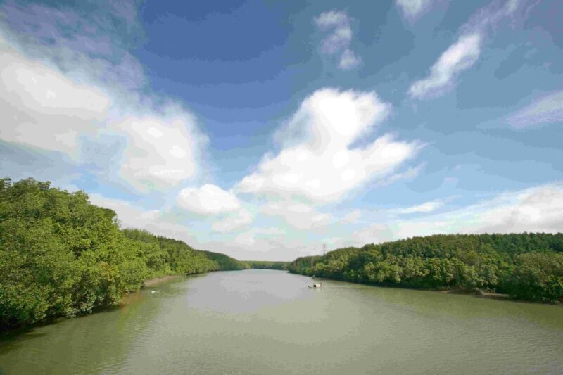 Can Gio: Discovery Vam Sat EcoPark - Can Gio Island Day Trip - What We Loved About the Tour