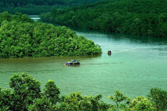 Can Gio Mangrove Biosphere Reserve 1 day - A Closer Look at the Itinerary