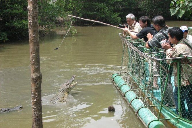Can Gio Mangrove Biosphere Reserve 1 day - What to Expect From the Tour Experience