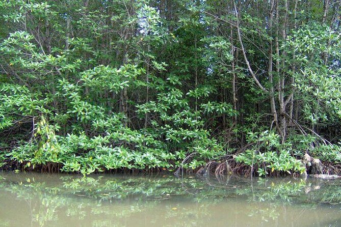 Can Gio Mangrove Biosphere Reserve 1 day - Final Thoughts: Is It Worth It?