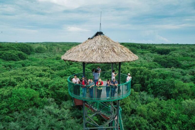Can Gio Mangrove Biosphere Reserve 1 Day Tour - Analyzing the Tour Experience