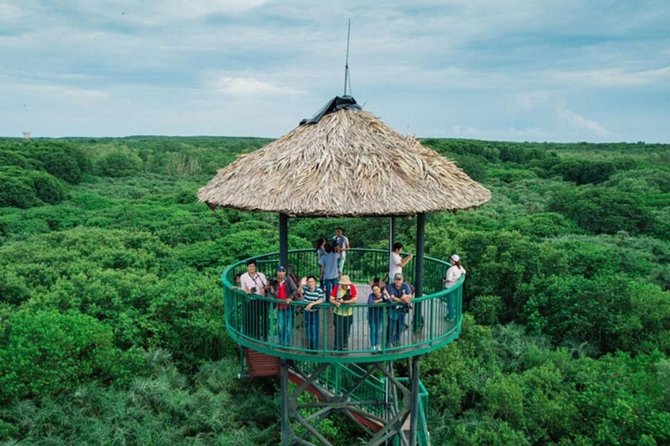 Can Gio mangrove eco tour 1 day private - Transportation and Practical Details