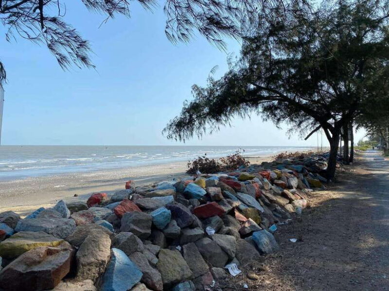 Can Gio Mangrove Forest and Monkey Island 1 day - Final Thoughts