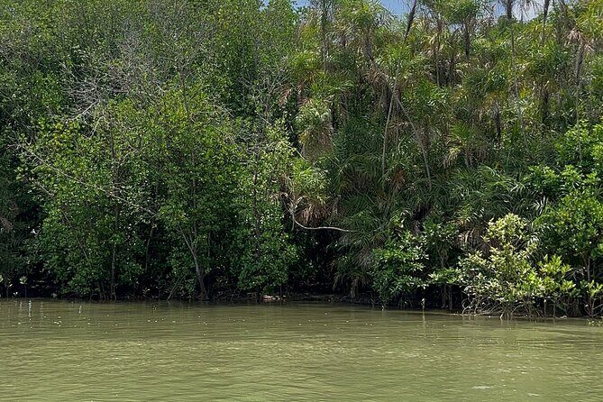 Can Gio Mangrove Forest & Authentic Thanh An Island Private Tour - Key Points