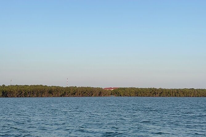 Can Gio Mangrove Forest & Authentic Thanh An Island Private Tour - Introduction: A Different Side of Vietnam