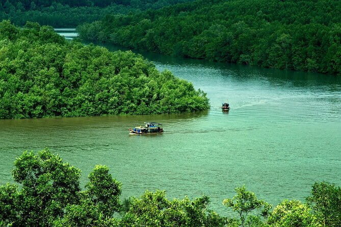 Can Gio Mangrove Forest Island Private Tour From Ho Chi Minh City - Introduction