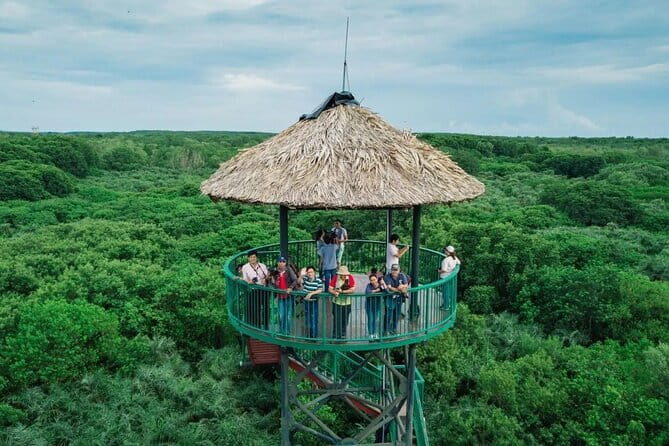 Can Gio Mangrove Forest Island Private Tour From Ho Chi Minh City - Authentic Experiences Backed by Reviews