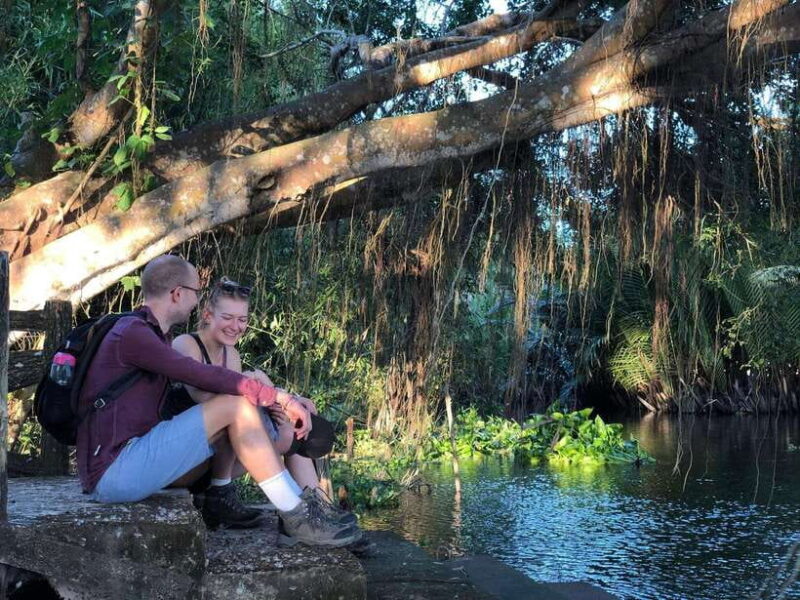 Can Gio Mangrove Forest & Monkey Island In 1 Day - The Price and Value