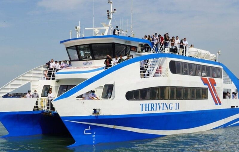 Can Gio Mangrove Forest - Exploring the Monkey Habitat: The Mangrove Forest