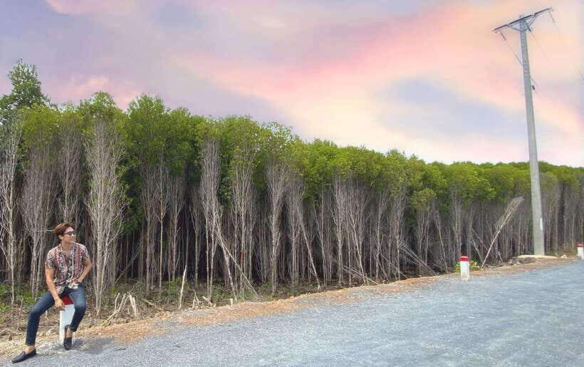 Can Gio Mangrove, Thanh An Island, Vung Tau City 2 Days Tour - Thanh An Island: A Quiet Slice of Fishing Life
