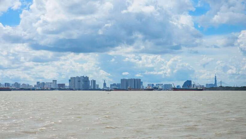 Can Gio Mangrove & Wildlife Day Tour by Speedboat from HCMC - The Delicious Local Lunch & Forest Walks