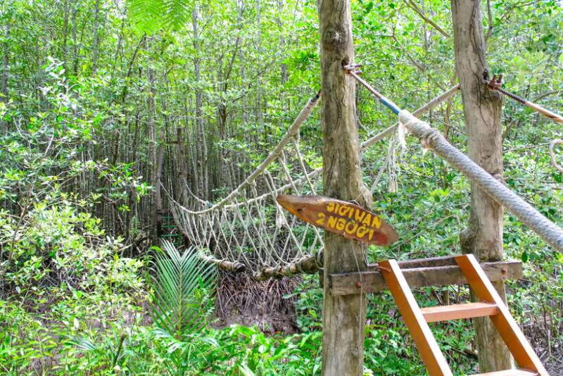 Can Gio Mangrove & Wildlife Day Tour by Speedboat from HCMC - Final Thoughts