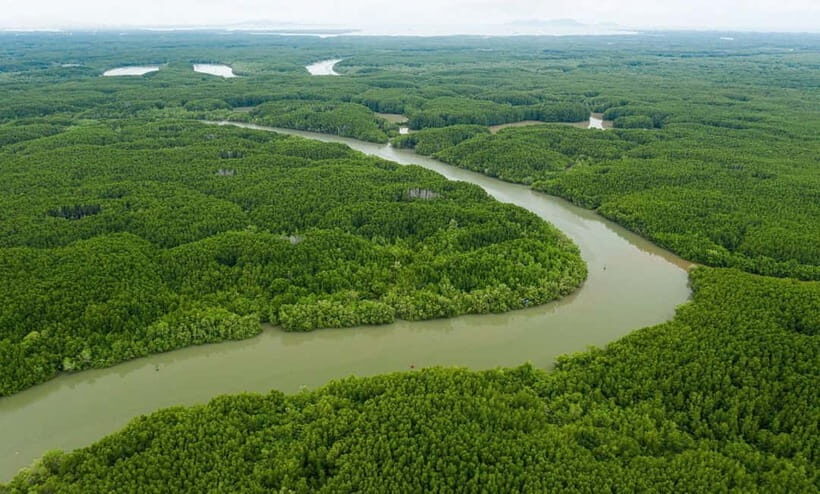 Can Gio: Monkey Island, Guerilla Camp, Mangrove Forest - A Thorough Look at the Can Gio Tour