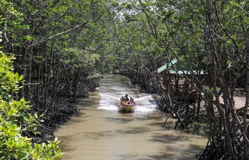 Can Gio: Monkey Island, Guerilla Camp, Mangrove Forest - In The Sum Up