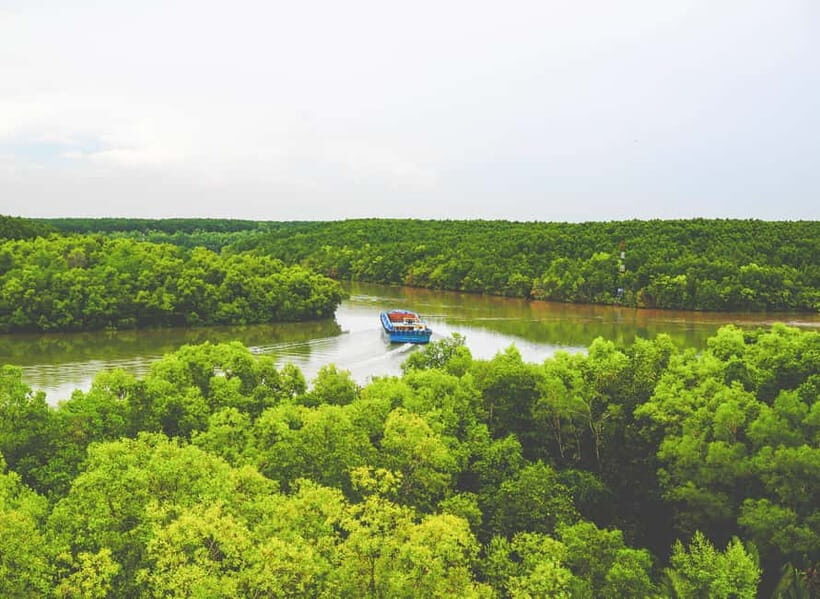 Can Gio UNESCO Biosphere, Monkey Island Private Day Tour - A Closer Look at the Itinerary