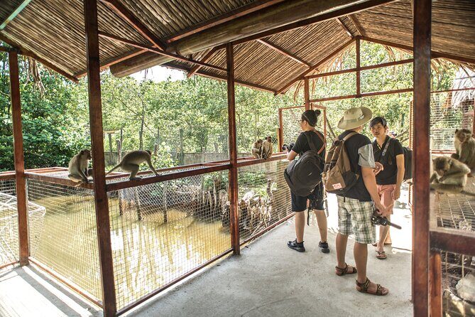 Can Gio - Vam Sat Mangrove Tour Forest - A Deep Dive into the Can Gio Mangrove Tour Experience
