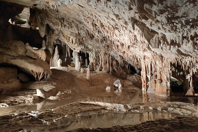 Can Marca, Las Dalias Hippie Market and Benirras Tour - Who Should Consider This Tour?