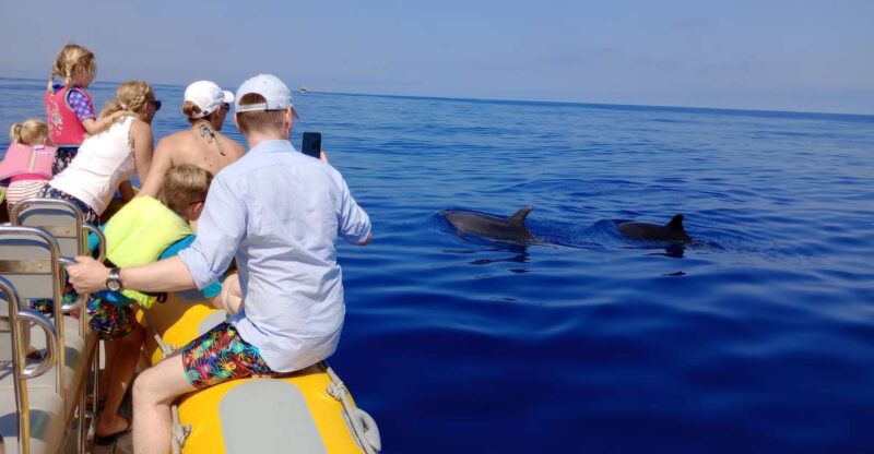 Can Picafort: Dolphin Watching Boat Tour with Swimming - Who is this tour best for?