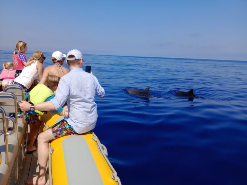 Can Picafort: Dolphin Watching Boat Tour with Swimming - The Sum Up