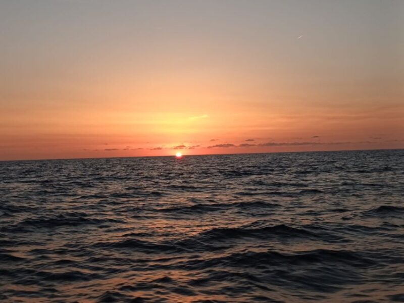 Can Picafort: Dolphin Watching Boat Tour with Swimming - FAQ