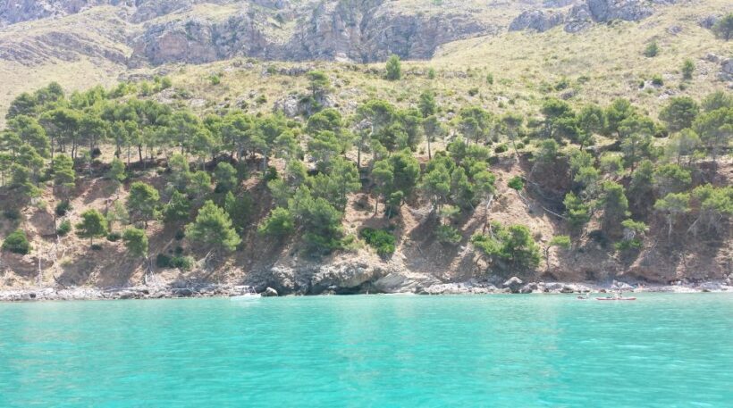 Can Picafort HalfDay Boat Excursion - Embarking on the Mallorca Coastal Journey