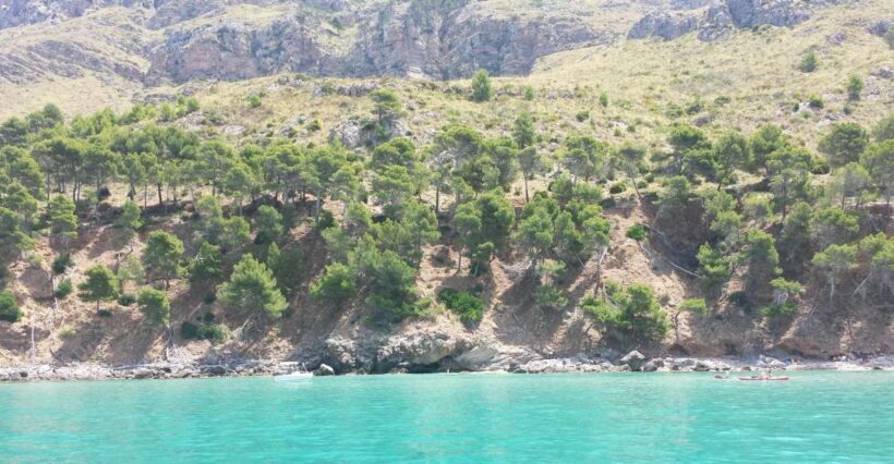 Can Picafort HalfDay Boat Excursion - Authentic Experiences and Traveler Feedback