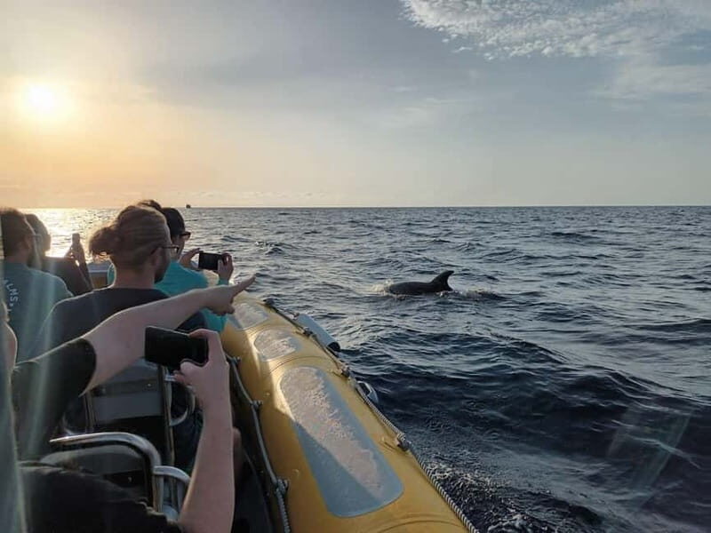 Can Picafort or Alcudia: Customizable Private Boat Day Trip - Authentic Experiences and Guest Feedback