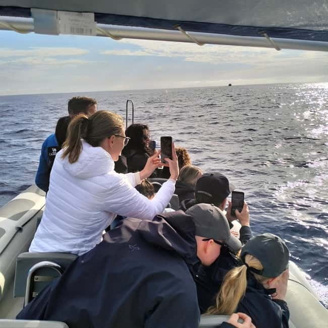 Can Picafort or Alcudia: Customizable Private Boat Day Trip - FAQ