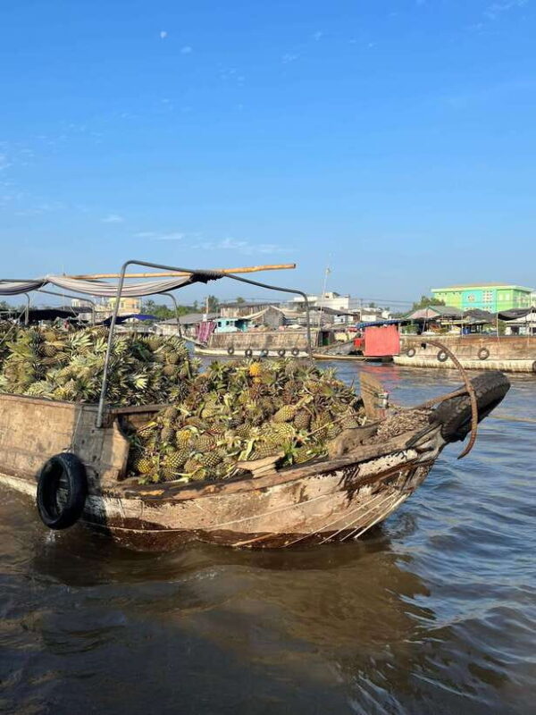 Can Tho: Cai Rang Floating Market and Canals - Cruising Through Picturesque Canals