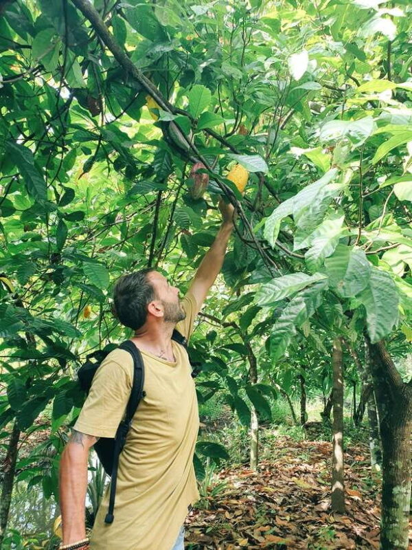 Can Tho: Countryside Cycling Tour with Cocoa Farm Visit - Key Points