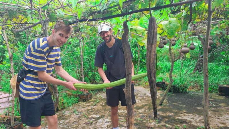 Can Tho: Floating Market, Canals, Garden & Cooking Class - Practical Details and Tips