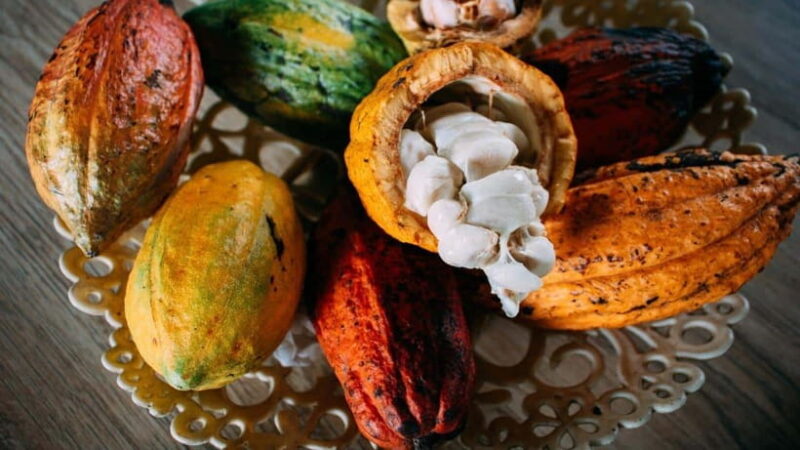 Can Tho: Floating Market explore local life, Mekong farm - The Sum Up