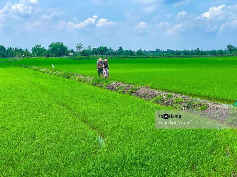 Can Tho: Lung Ngoc Hoang Nature Reserve & Forest Tour - The Sum Up: Who Is This Tour Best For?