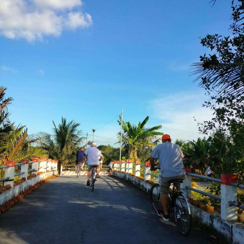 Can Tho: Rural Vietnam Biking Tour with Local Delights - The Ficus Microcarpa Tree