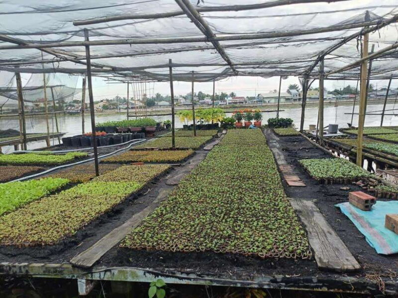 Can Tho: Small Canal and enjoy Sunet on Can Tho river - Itinerary Breakdown: What to Expect