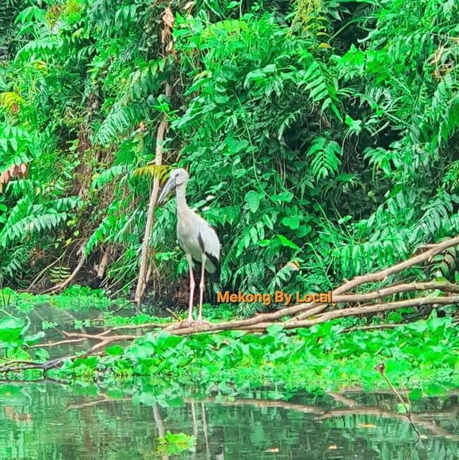 Can Tho: The Untouched Mekong for Nature Souls - The Sum Up